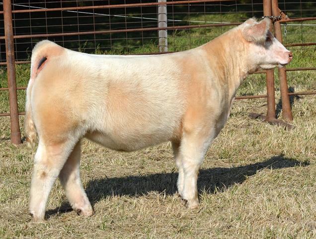 RCC Blog: Jeremy Beeson Online Sale