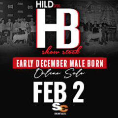 SCO - Hild Bros. Early December Male Born Online Sale - IA